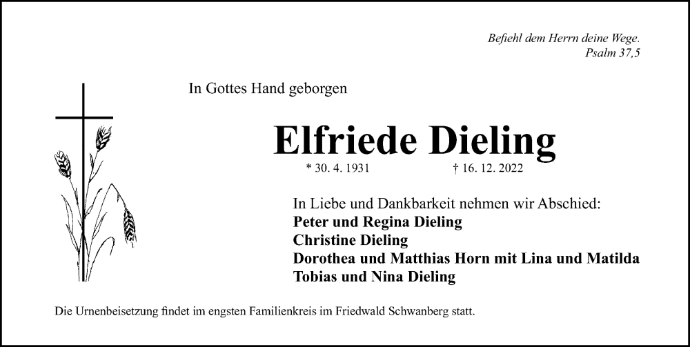 Traueranzeigen von Elfriede Dieling | trauer.nn.de